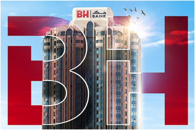 BH Bank 2025: Net profit plunges as warning signs mount - African Manager